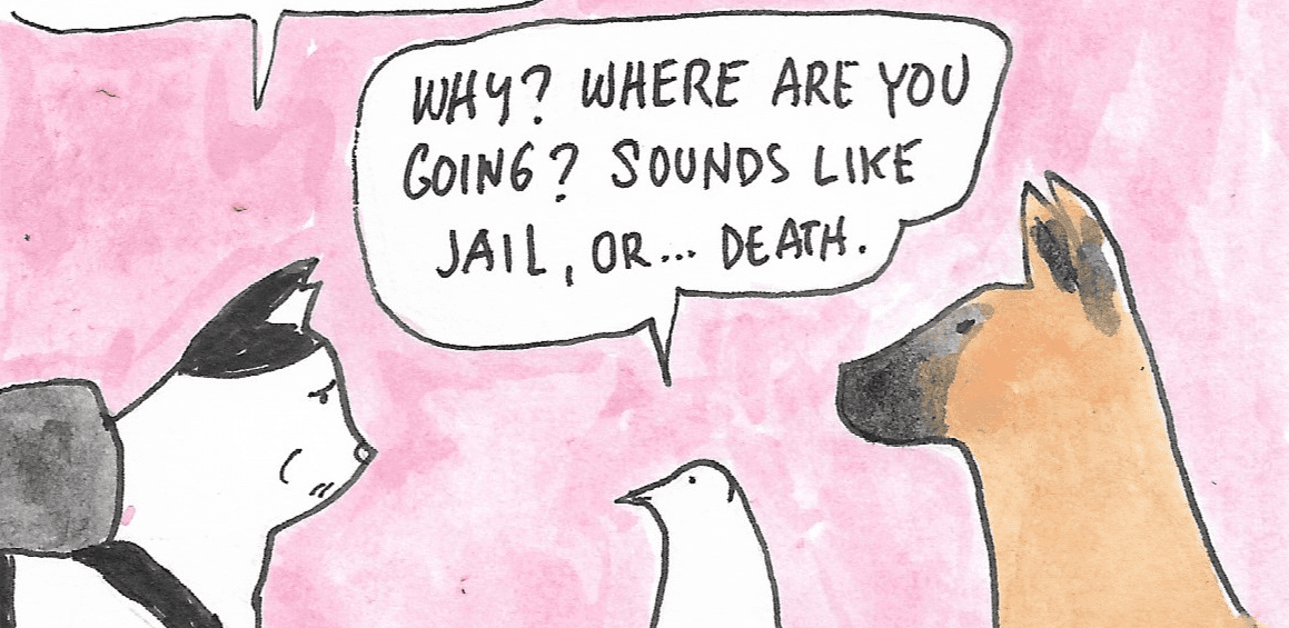 Junk Terror Bill